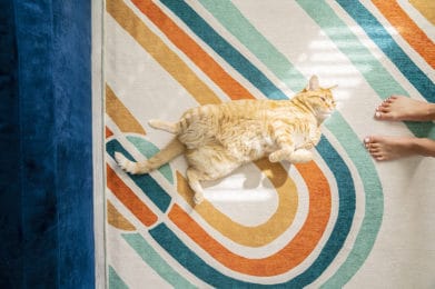 Ruggable Review: My 5 Favorite Ruggable Rugs | A Taste of Koko