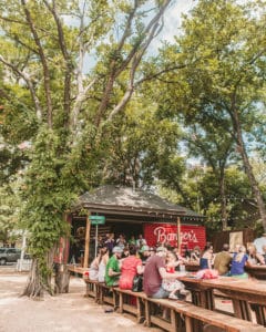 Things To Do In Austin, Texas, Updated 2022 | A Taste of Koko