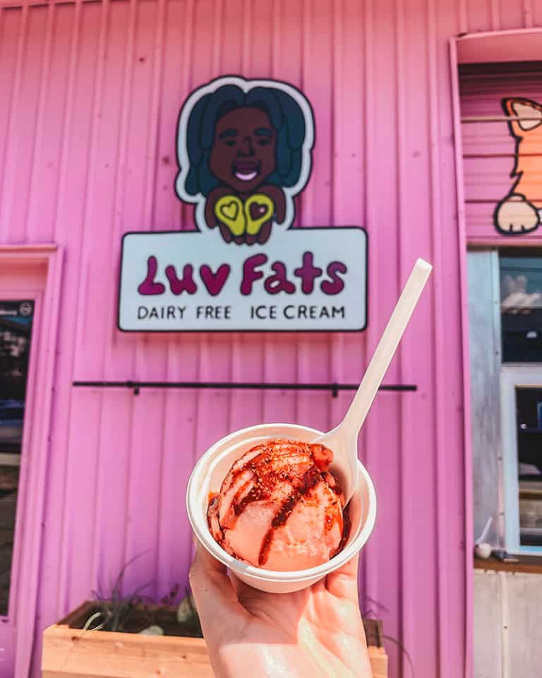 19 Best Ice Cream Spots in Austin Texas | A Taste of Koko