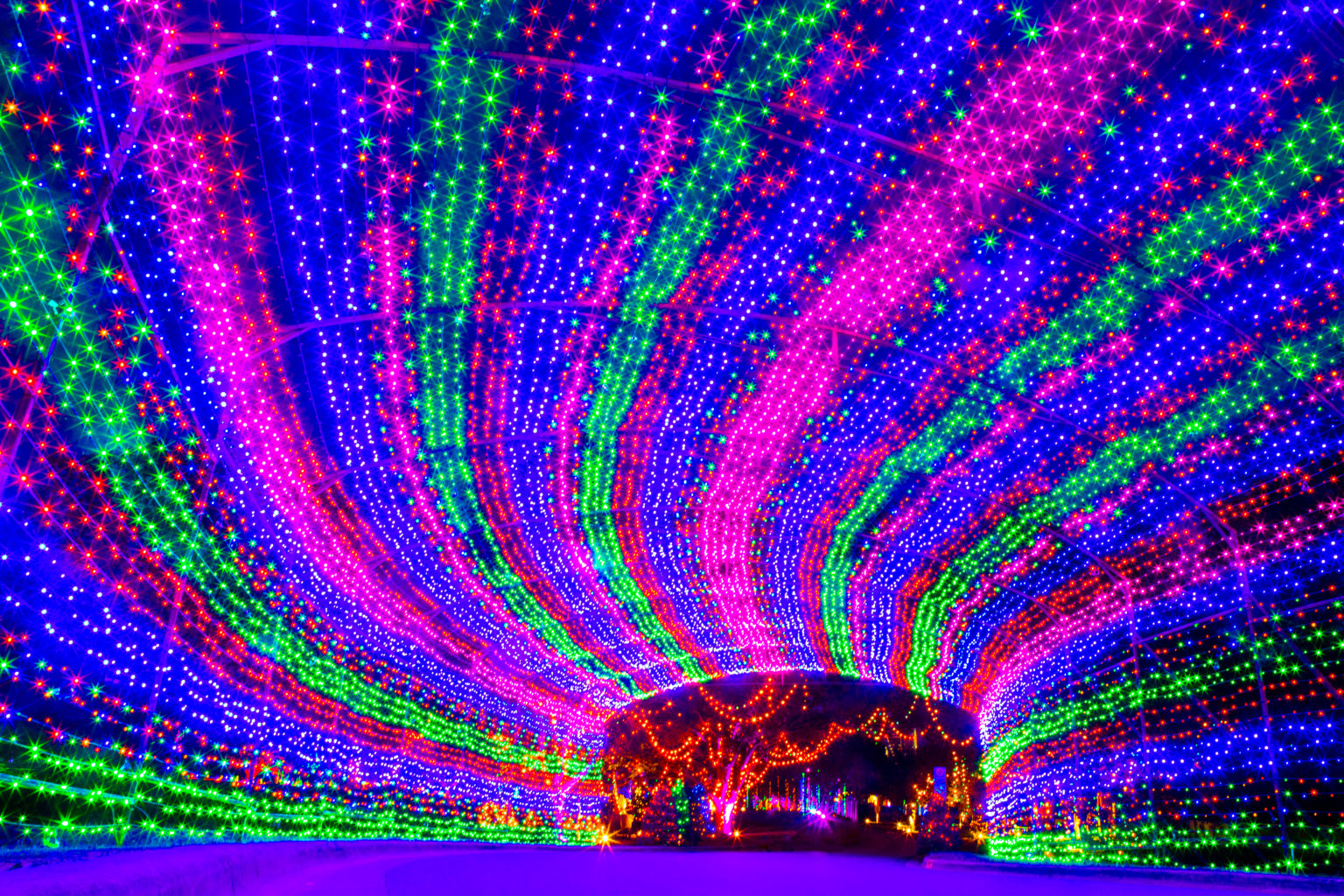 21 Best Spots To See Christmas Lights In Austin, Updated 2023 | Koko