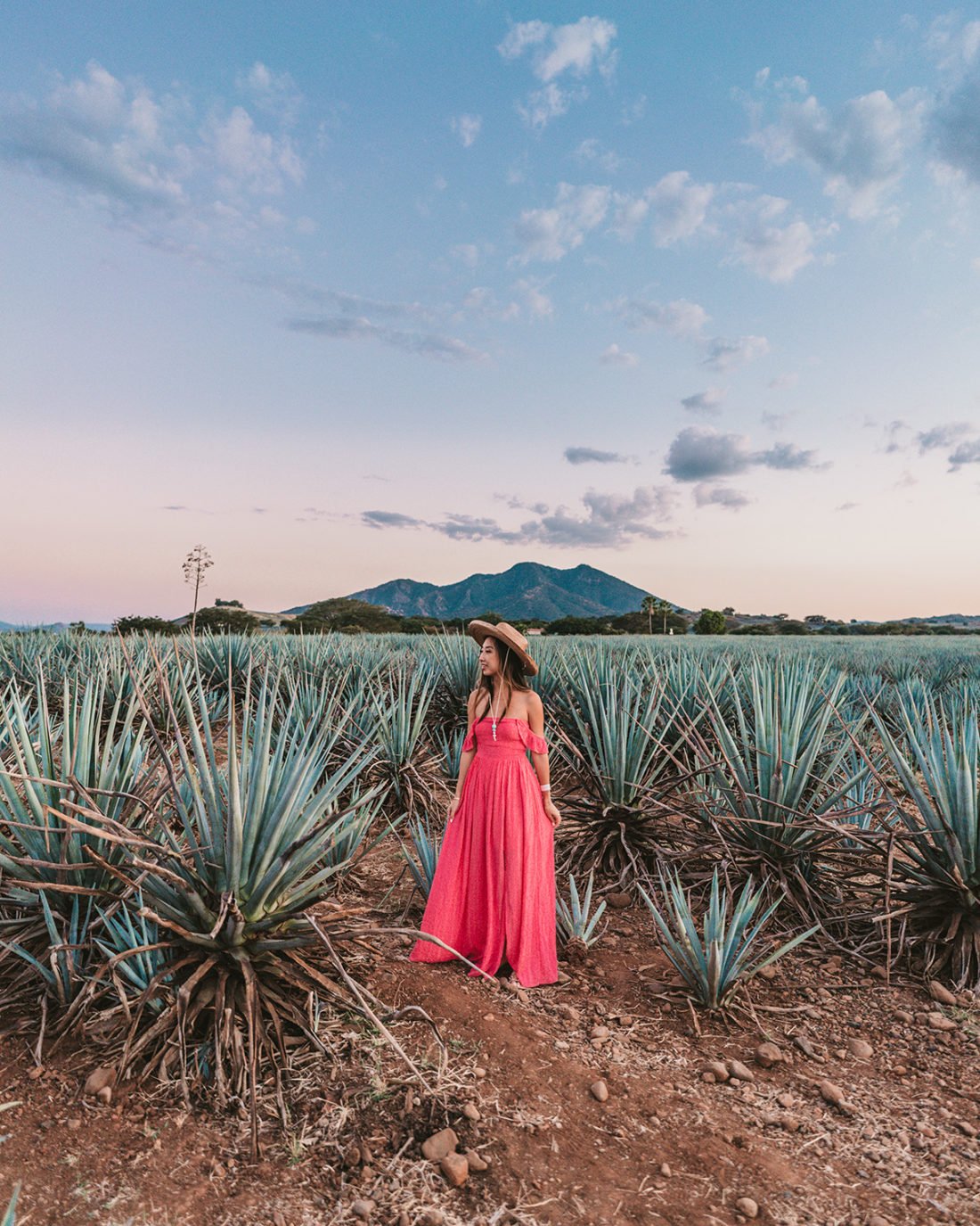 7 Top Things To Do In Tequila Jalisco (2023) | A Taste of Koko